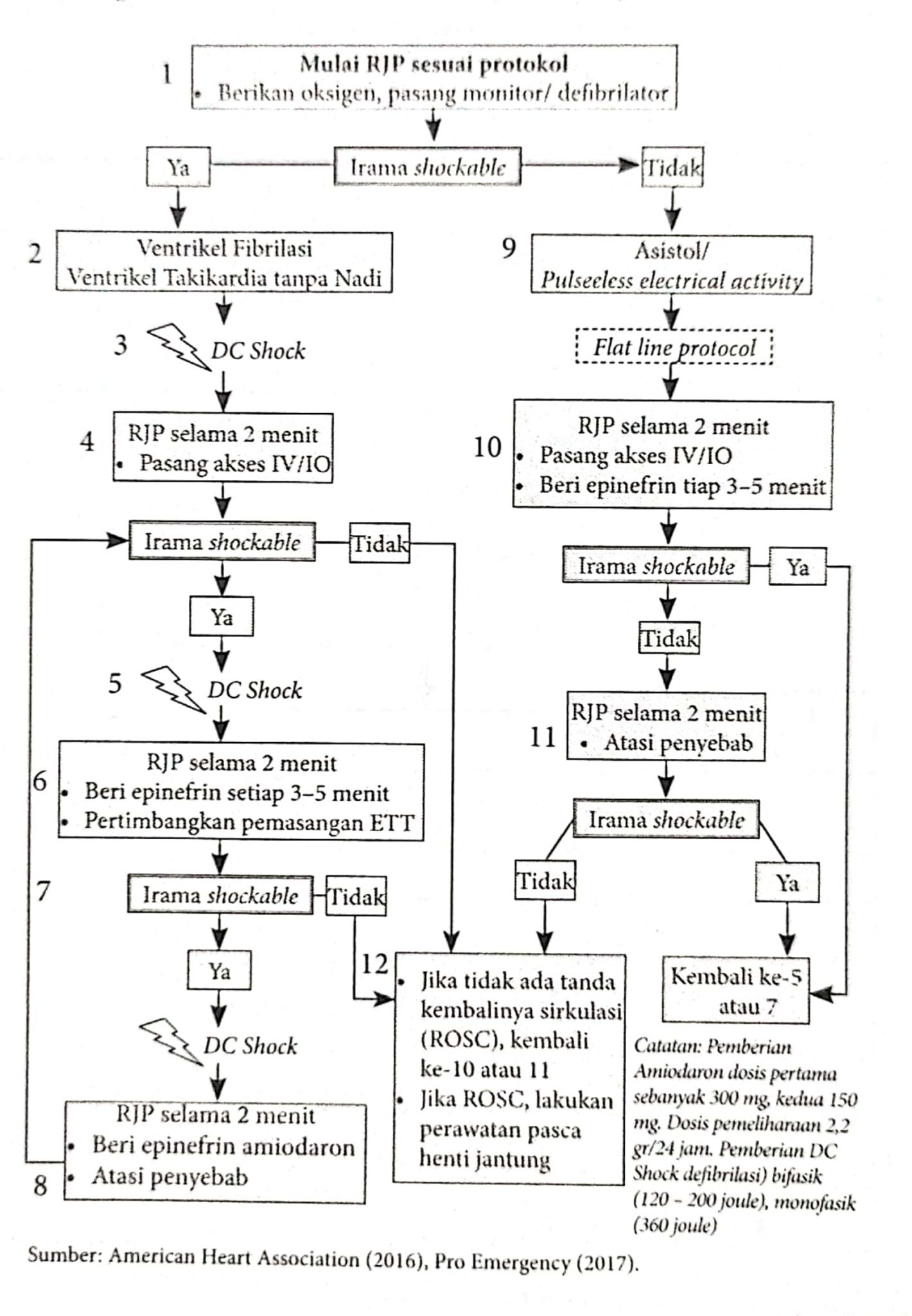 Bantuan Hidup Dasar (BHD) Dan Kegawatdaruratan - Mediaperawat.id