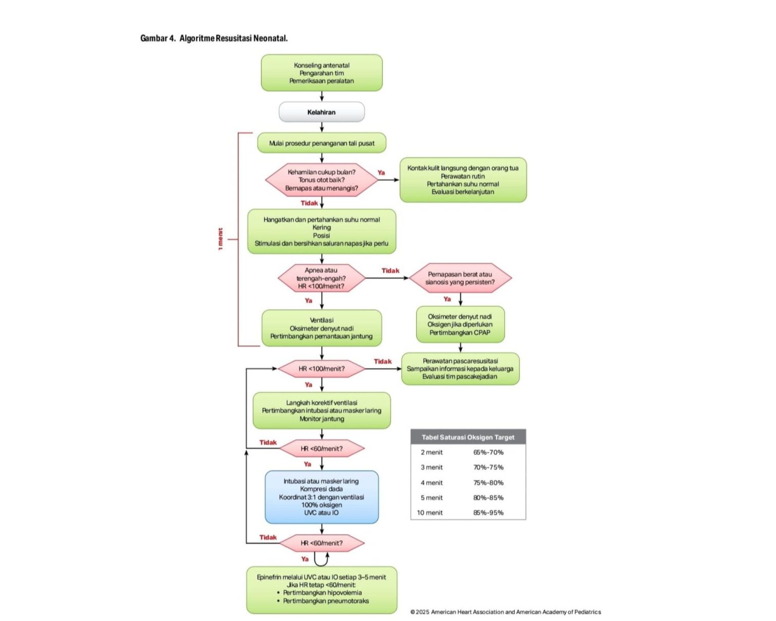 Apa yang Berubah di AHA Guideline 2025 dan Kenapa Perawat Harus Tahu?